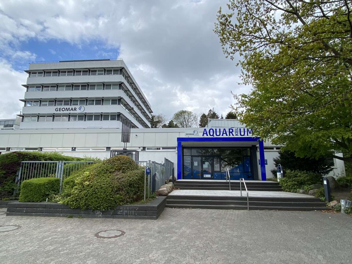 Aquarium Geomar Kiel 2